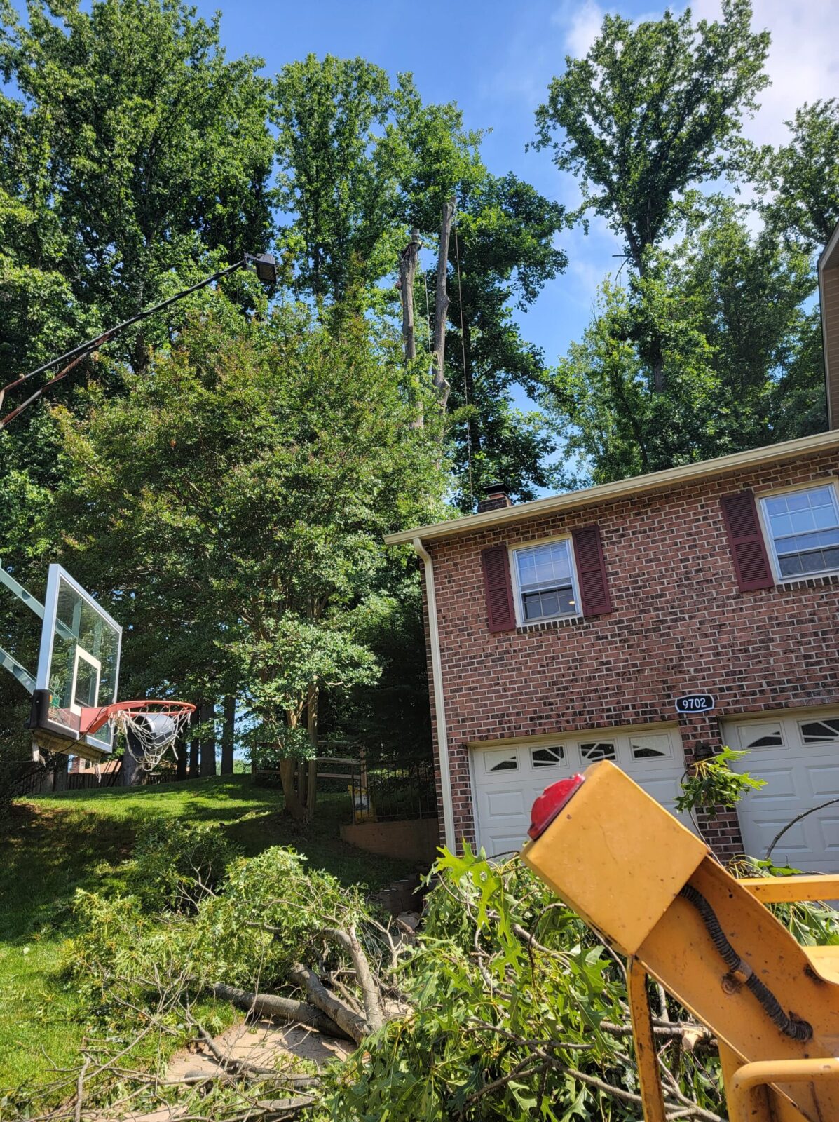 Tree Service Fairfax VA | Fairfax County Tree Removal